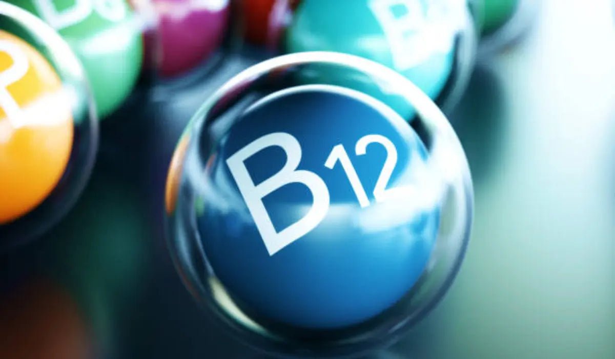 B12 Vitamin: The Key to Nerve Function & Red Blood Cell Formation ...